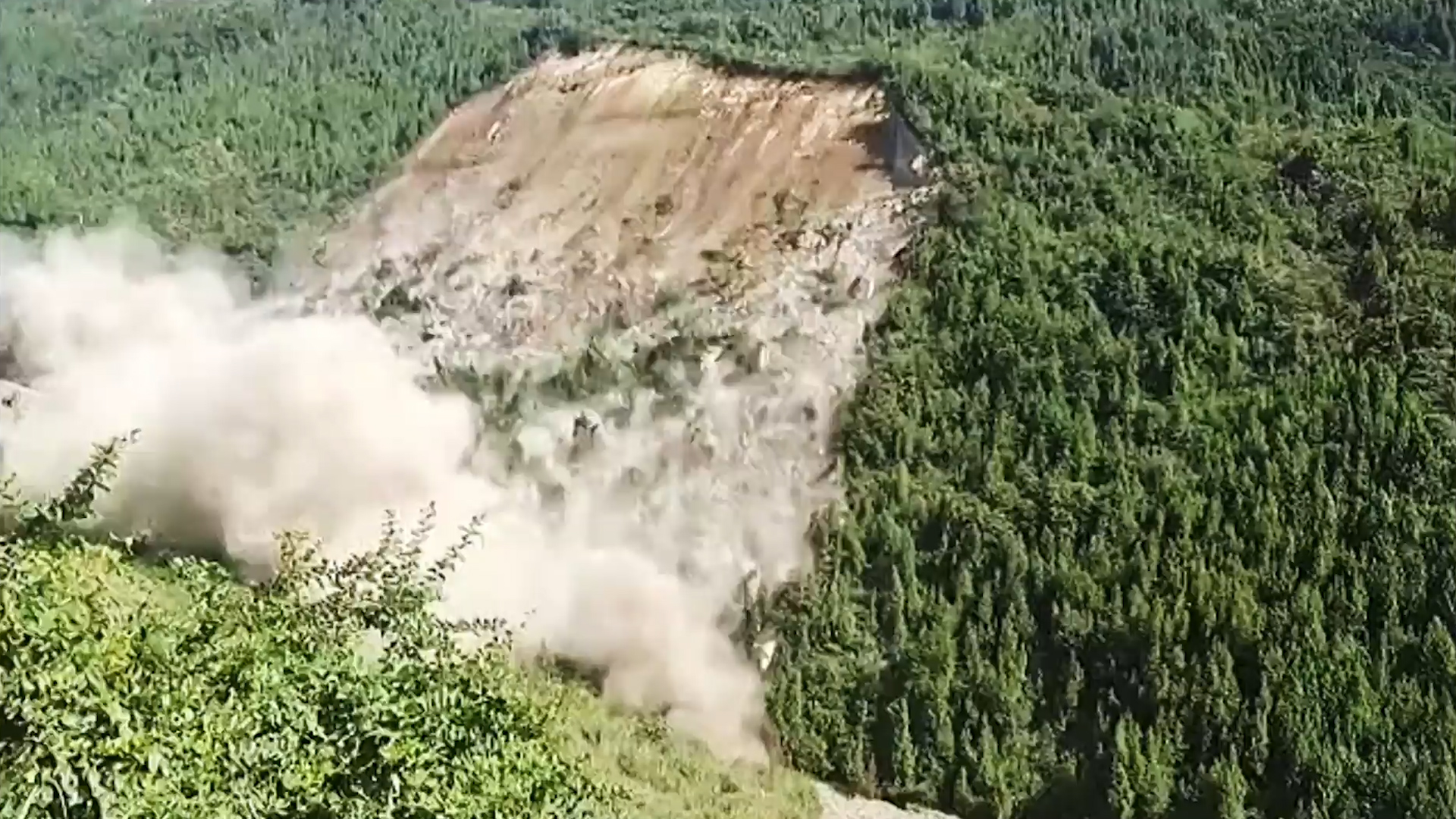 Potężne osuwisko zniszczyło część lasu. Szokujące nagranie z Chin